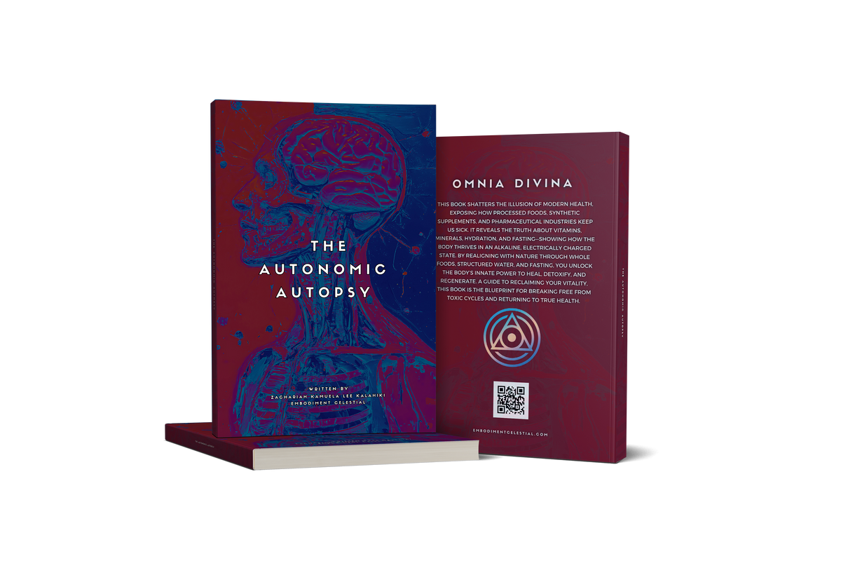 EmbodimentCelestial™ | Holistic Wellness & Spiritual Enlightenment